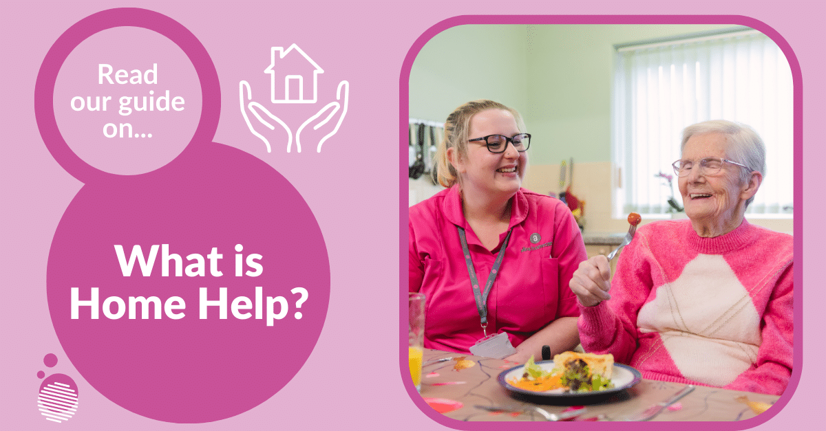 What is Home Help? In home care services for the elderly | Alina Homecare